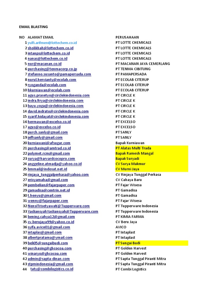 Email Blasting | PDF