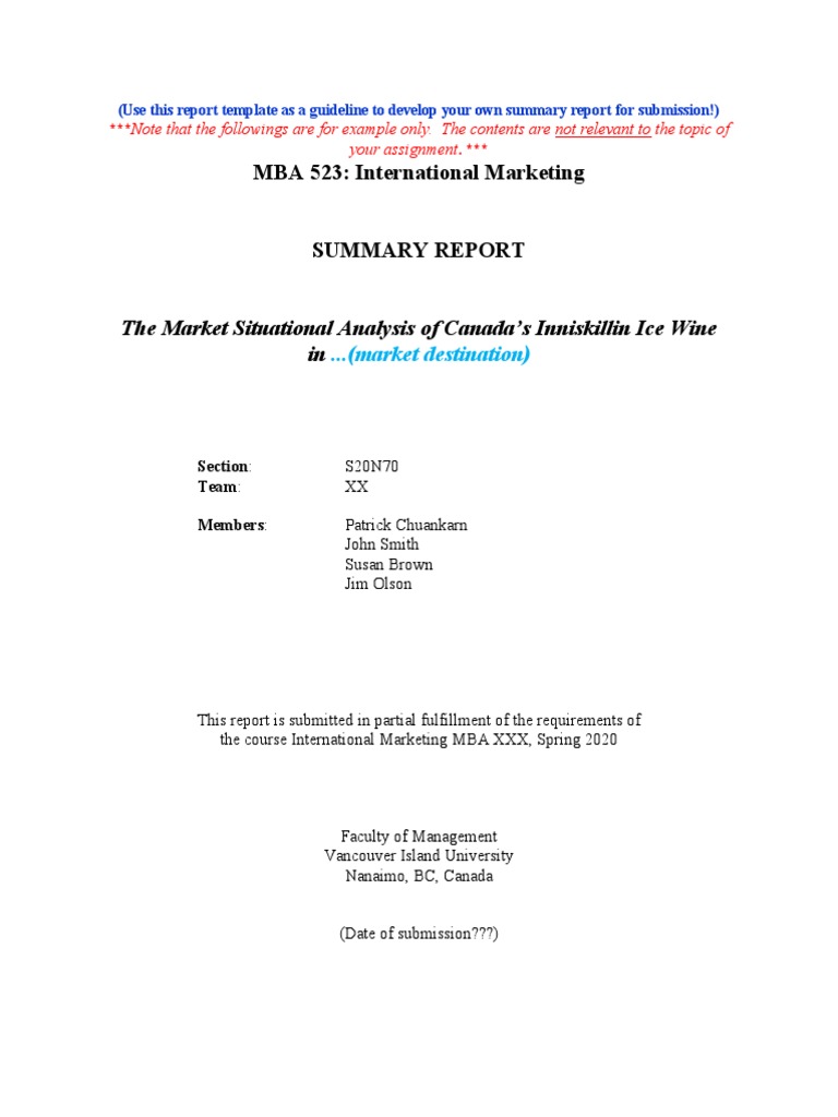 MBA 523 Summary Report Template - S20N70 | PDF