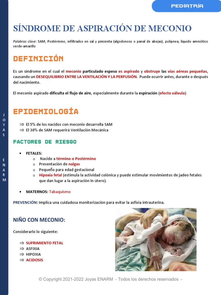 Síndrome de Aspiración de Meconio | PDF | Medicina CLINICA ...