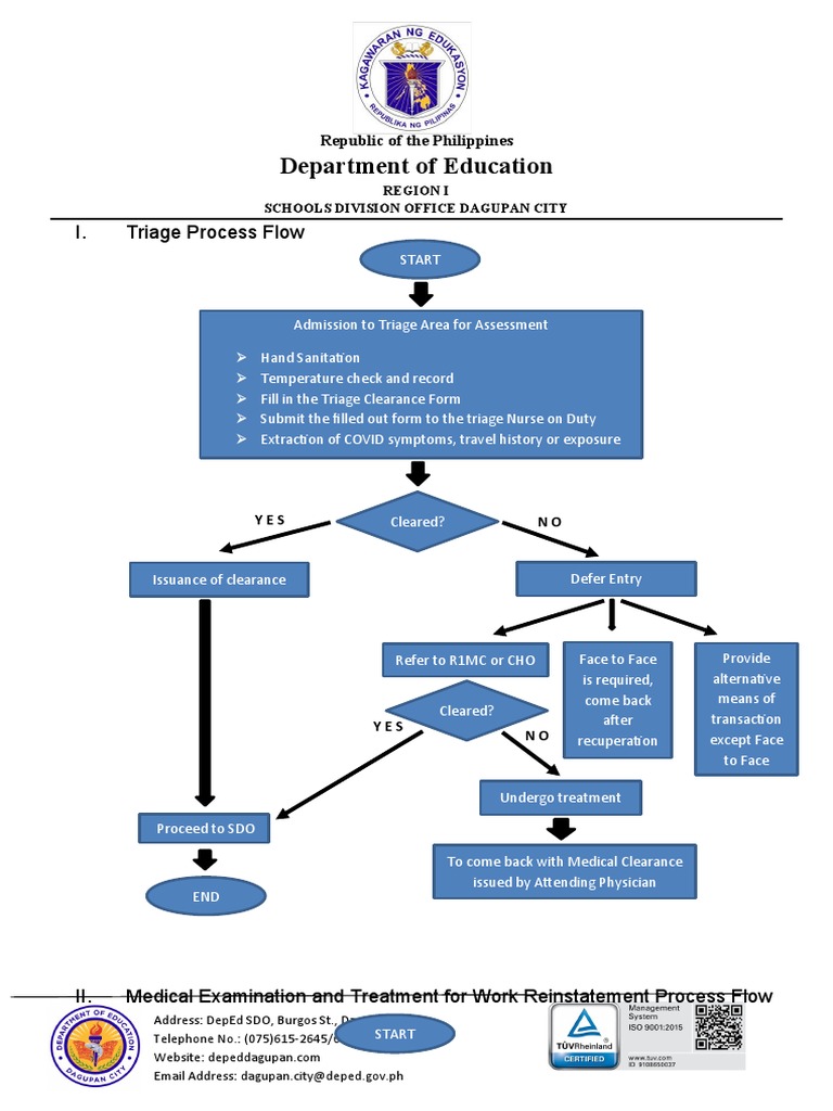 Triage Check Up Process Flow | PDF