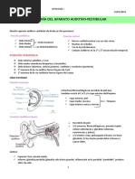 Otoscopia Normal | PDF | Oído | Anatomía