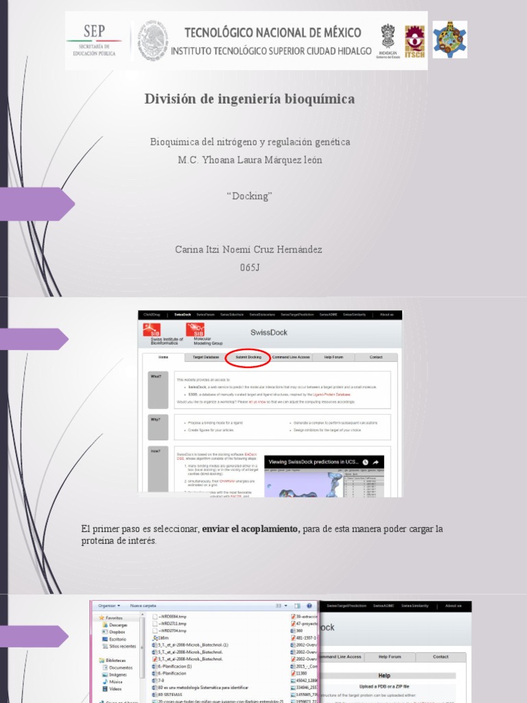 Docking Pdf