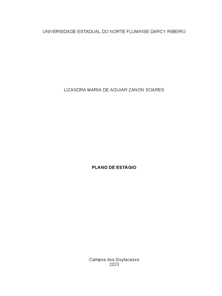 Plano De Est gio PDF