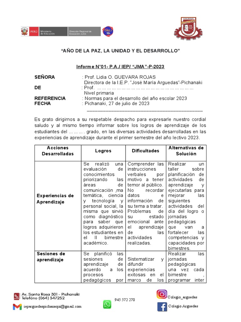 Informe de Logro Primaria | PDF