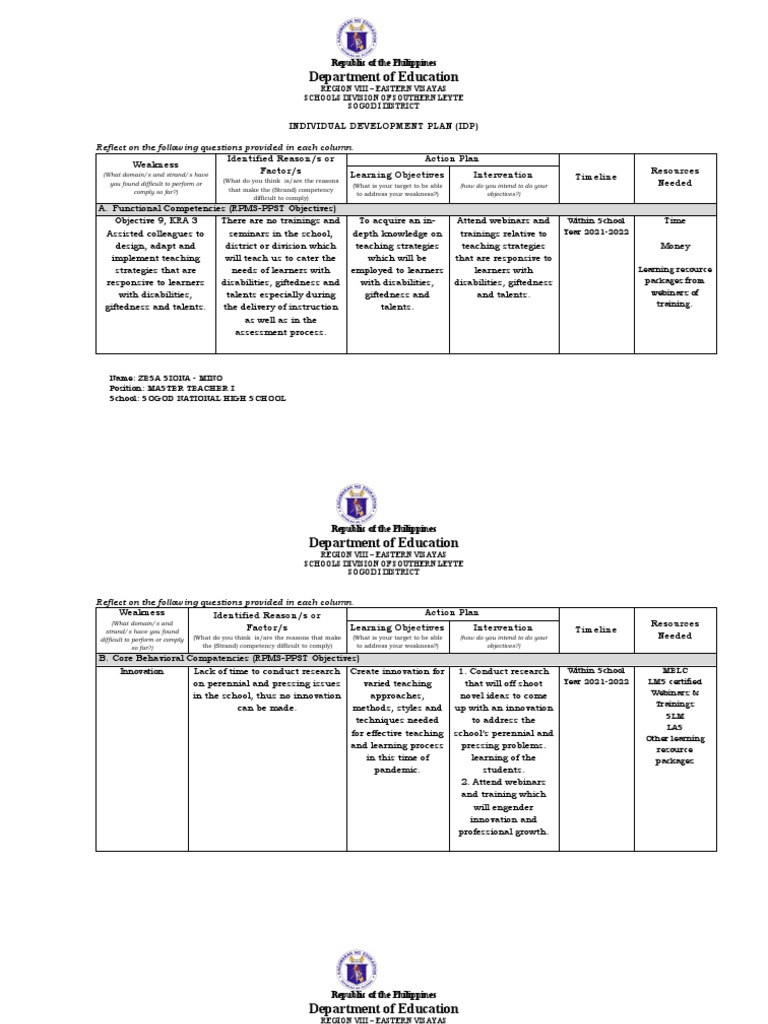 Individual Development Plan | PDF | Intellectual Giftedness | Learning