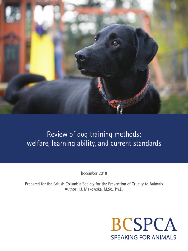 Dog Training Methods Review: Welfare & Standards | PDF | Dog Training ...