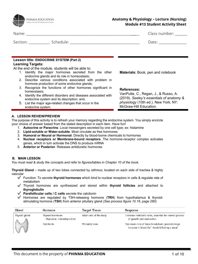 NURSING ANAPHY Lec Session #13 - SAS (NEW FORMAT) | PDF | Thyroid ...