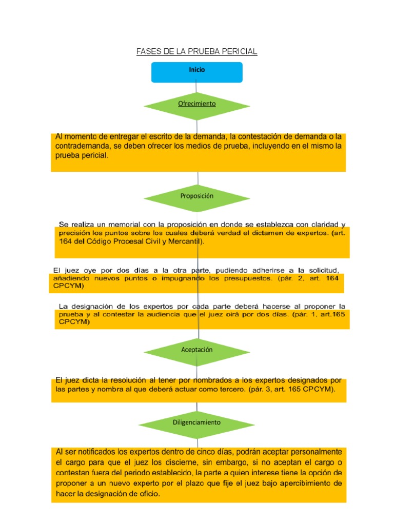 Diagrama Sobre La Prueba Pericial | PDF