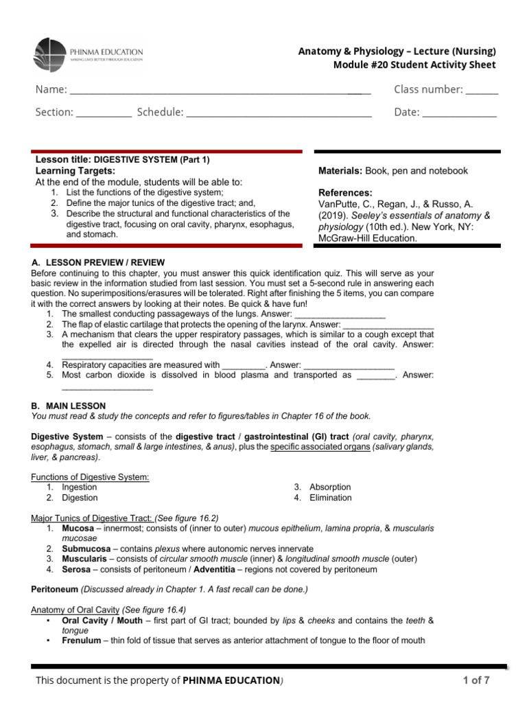 Nursing Anaphy Lec Session #20 - Sas (New Format) | PDF