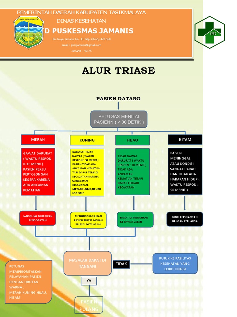 ALUR TRIASE | PDF