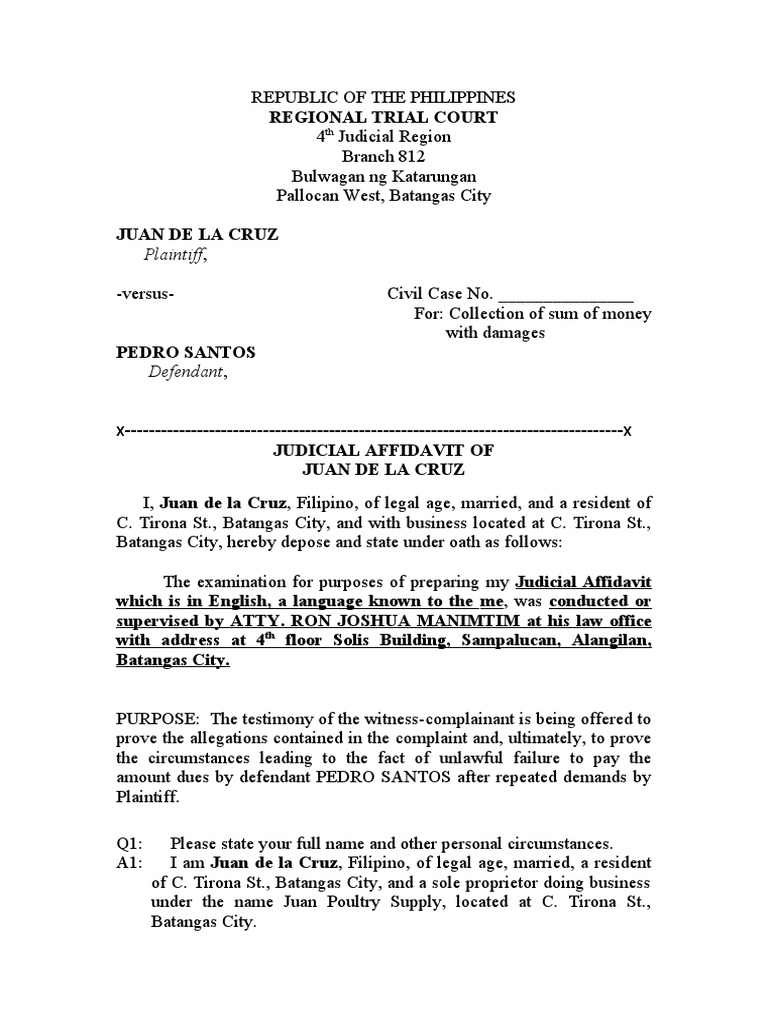 Judicial Affidavit | PDF | Affidavit | Complaint