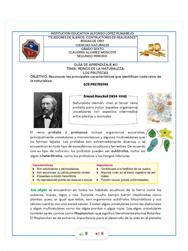 Reino Protista | PDF | Algas | Protozoos