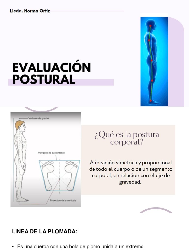 Evaluacion Postural | PDF | Pelvis | Rodilla