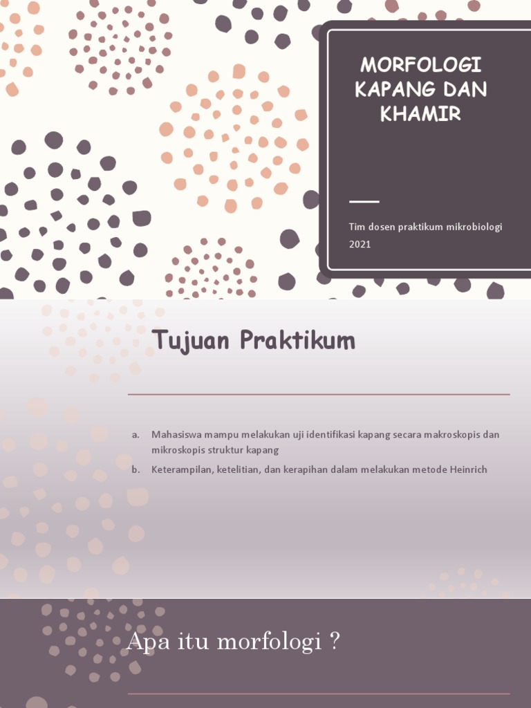 Modul 6 - Morfologi Kapang Dan Khamir | PDF