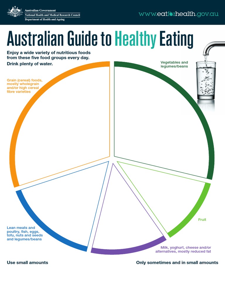 N55 A4 DG Food Plate Blank HiRes | PDF