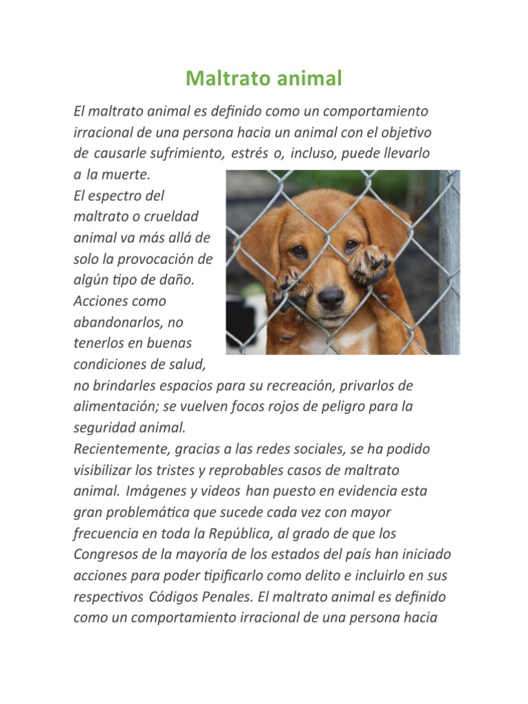 Maltrato Animal | PDF | Crueldad hacia los animales | Abuso infantil