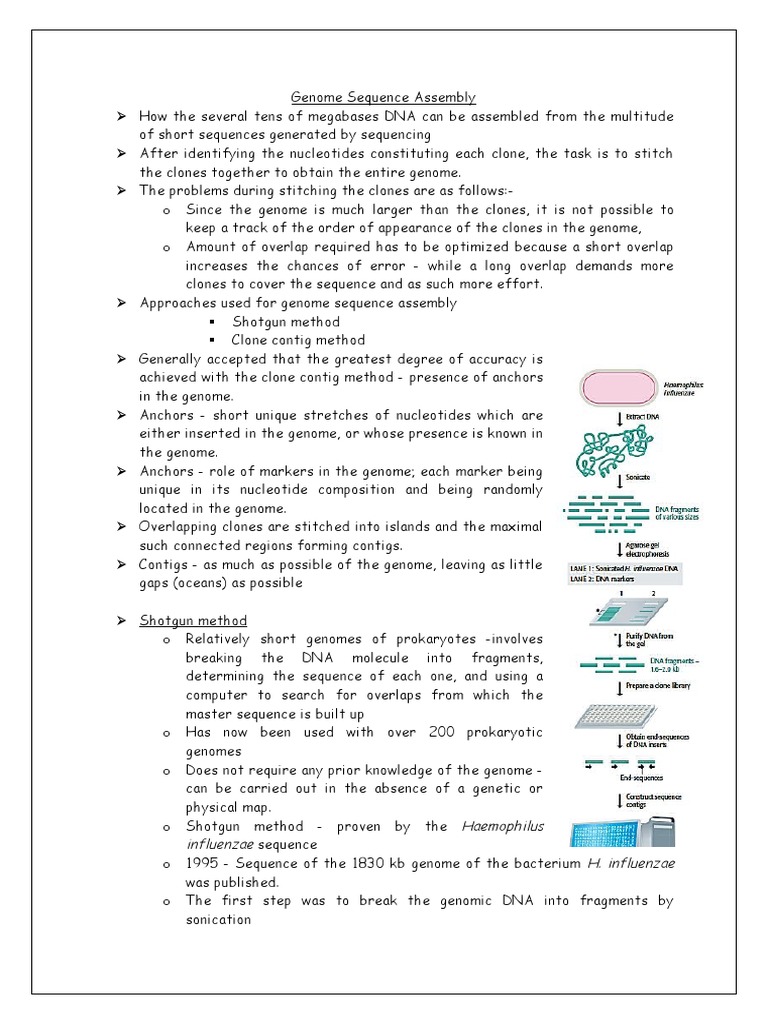 Genome Sequence Assembly | PDF | Dna Sequencing | Molecular Cloning