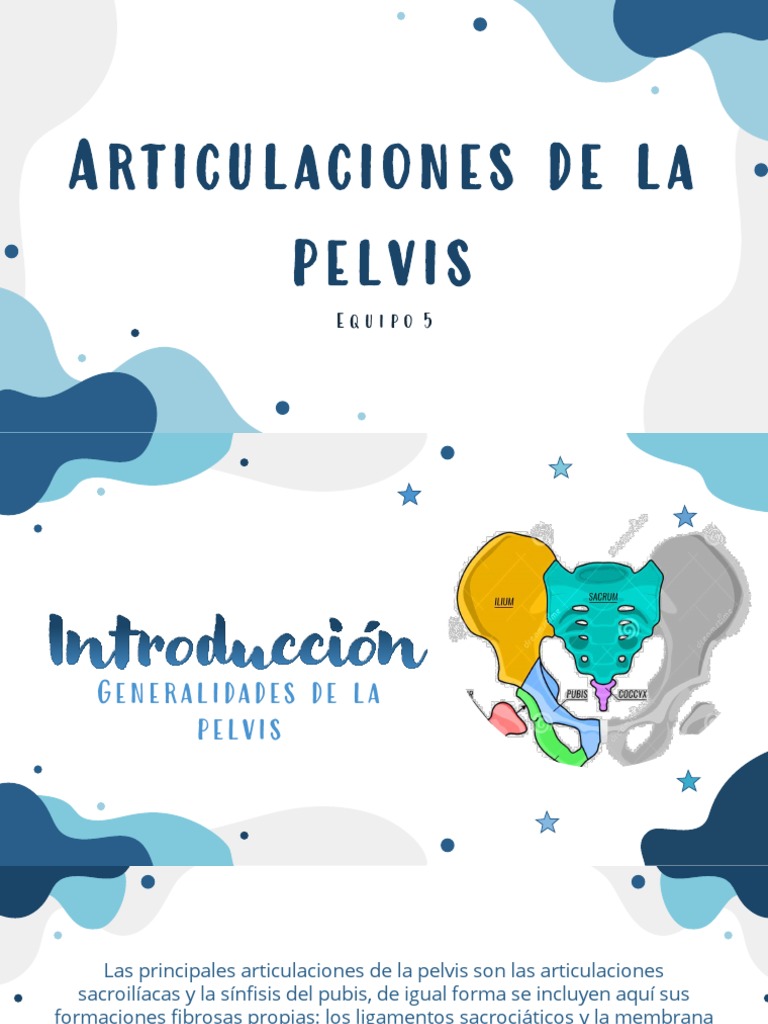 Articulaciones De La Pelvis Pdf Pelvis Articulación