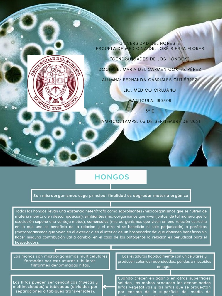 Generalidades de Los Hongos | PDF