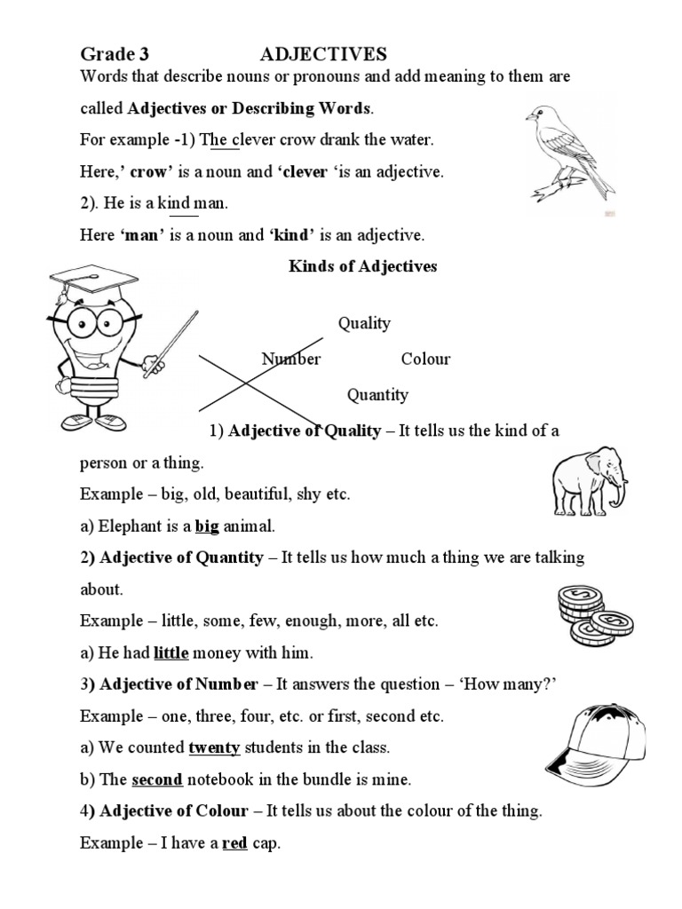 Workbook ADJECTIVES. | PDF | Adjective | Noun
