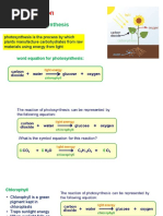 Investigating The Need For Chlorophyll Igcse Biology | PDF ...