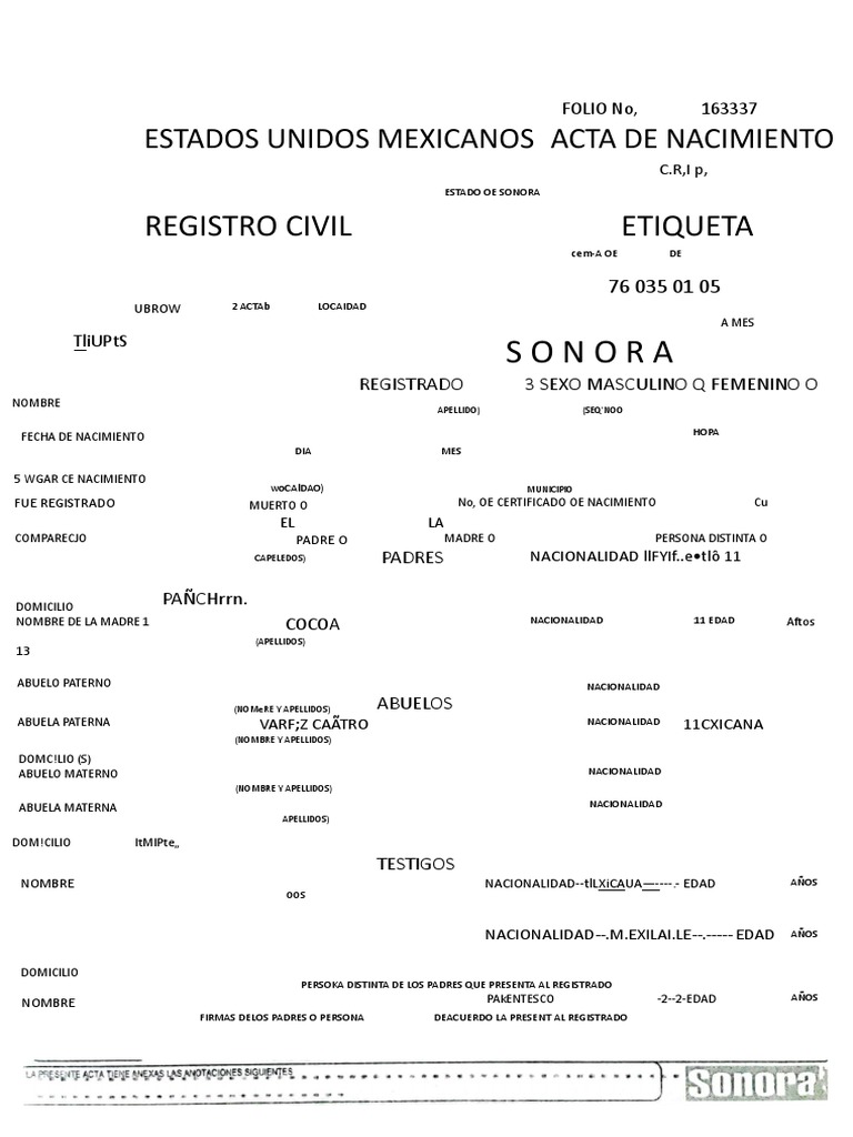 Acta de Nacimiento PDF | PDF | Gobierno y personalidad