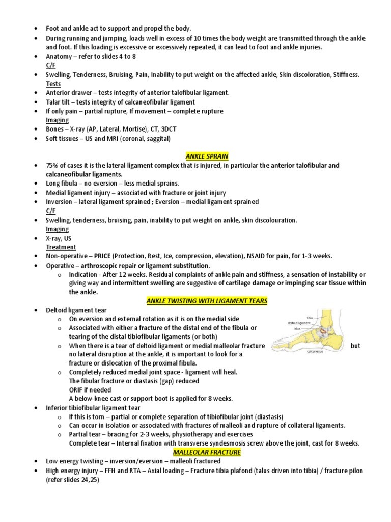 Ortho 14 Notes | Download Free PDF | Ankle | Clinical Medicine