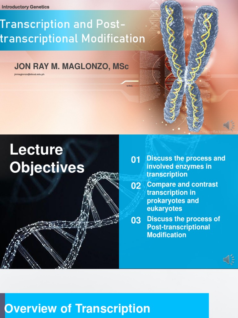 Module 9B - Transcription and Post-Transcriptional Modification | PDF ...