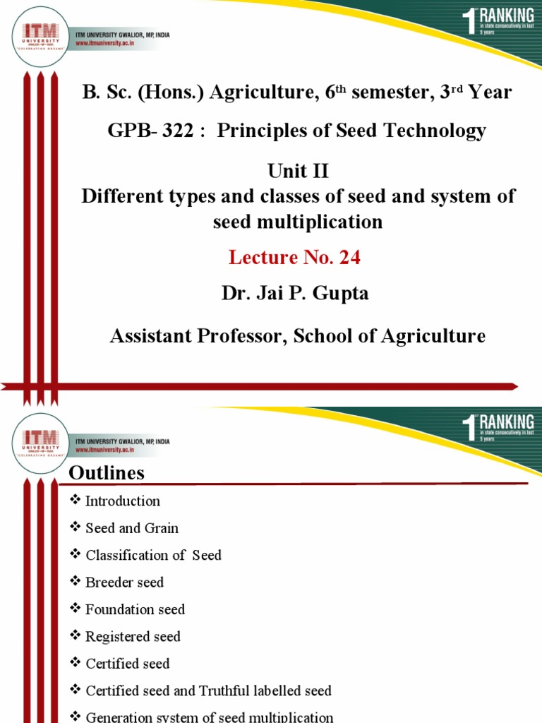 Different Types and Classes of Seed and System of Seed Multiplication | PDF