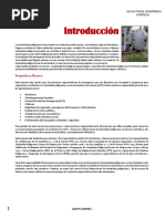 8 Pasos Del Sci | PDF