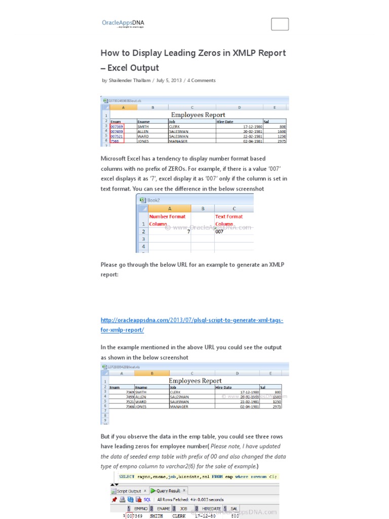 How To Display Leading Zeros in XMLP Report - Excel Output | PDF