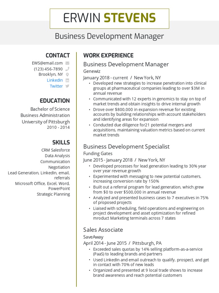 Business Development Manager Resume | PDF | Linked In | Customer ...