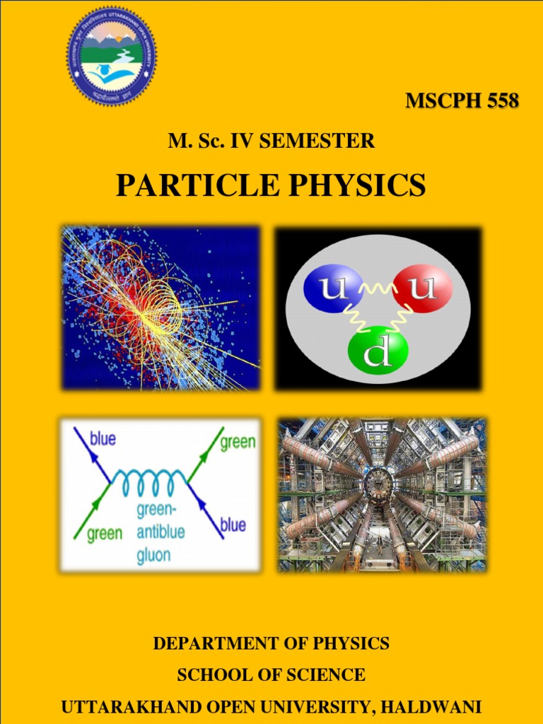 MSCPH 558 | PDF | Particle Physics | Fundamental Interaction
