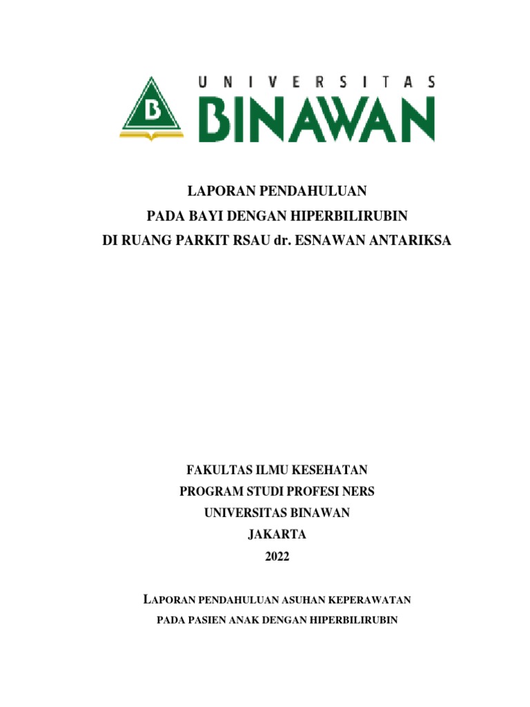 LP Anak Hiperbilirubin | PDF