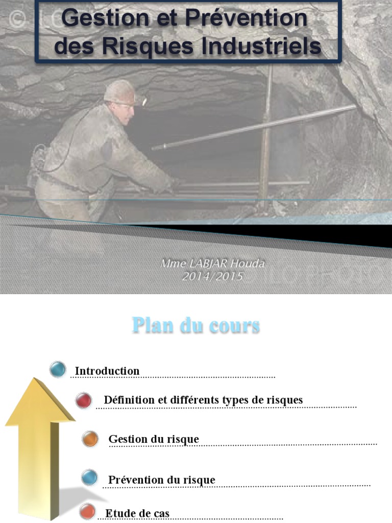 Cours Sécurité | PDF | Gestion des risques | Risque