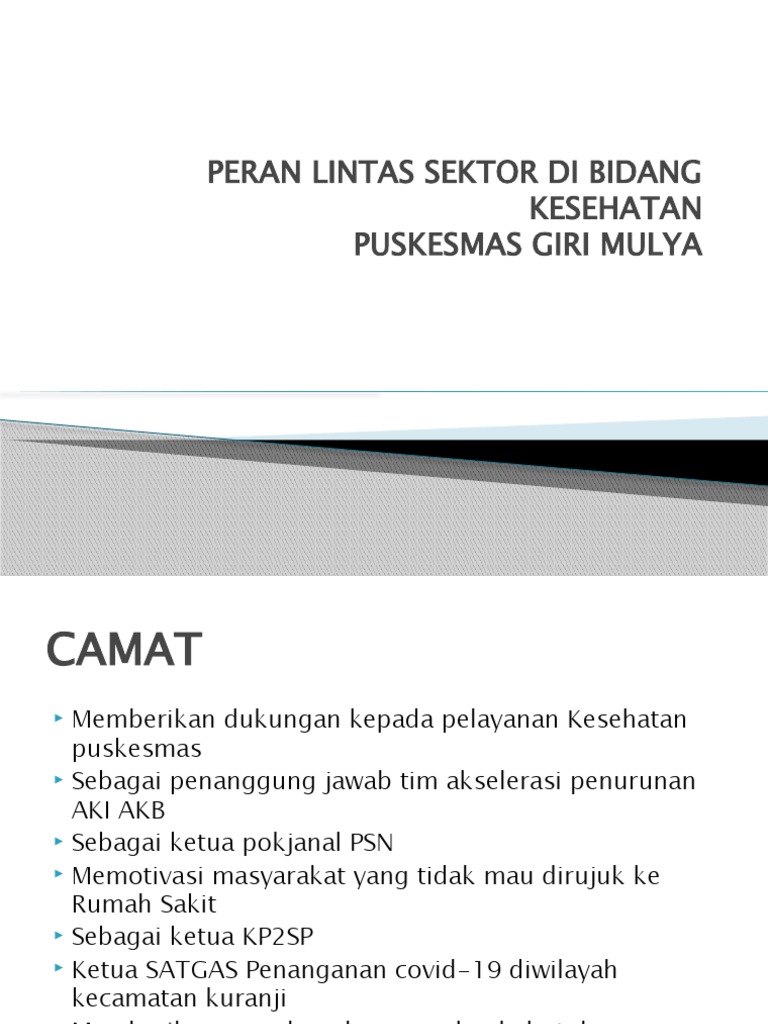 Power Point Peran Lintas Sektor Di Bidang Kesehatan | PDF Power Point Peran Lintas Sektor Di Bidang Kesehatan | PDF