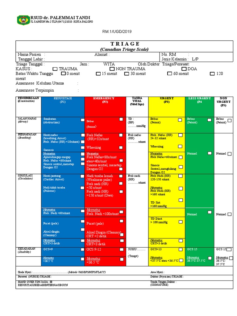 RM.1 (UGD) Form Triage | PDF