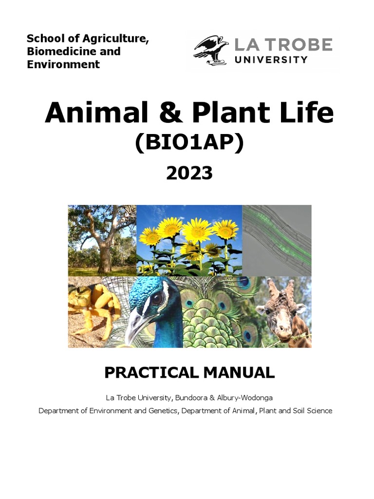 Animal & Plant Life Practical Guide | PDF | Root | Plant Hormone