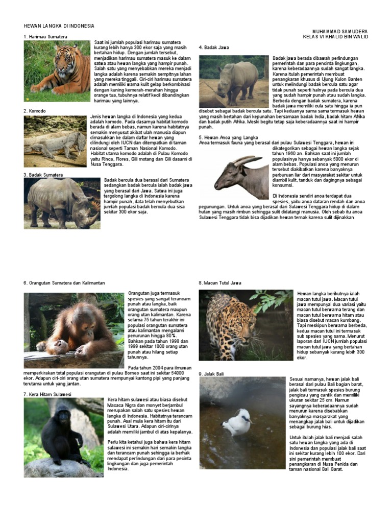 Hewan Langka Di Indonesia | PDF