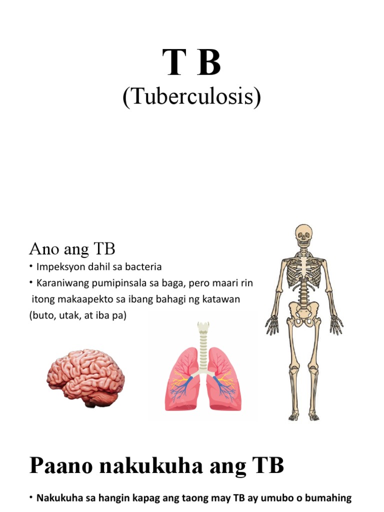 TB Lay Fora Presentation | PDF