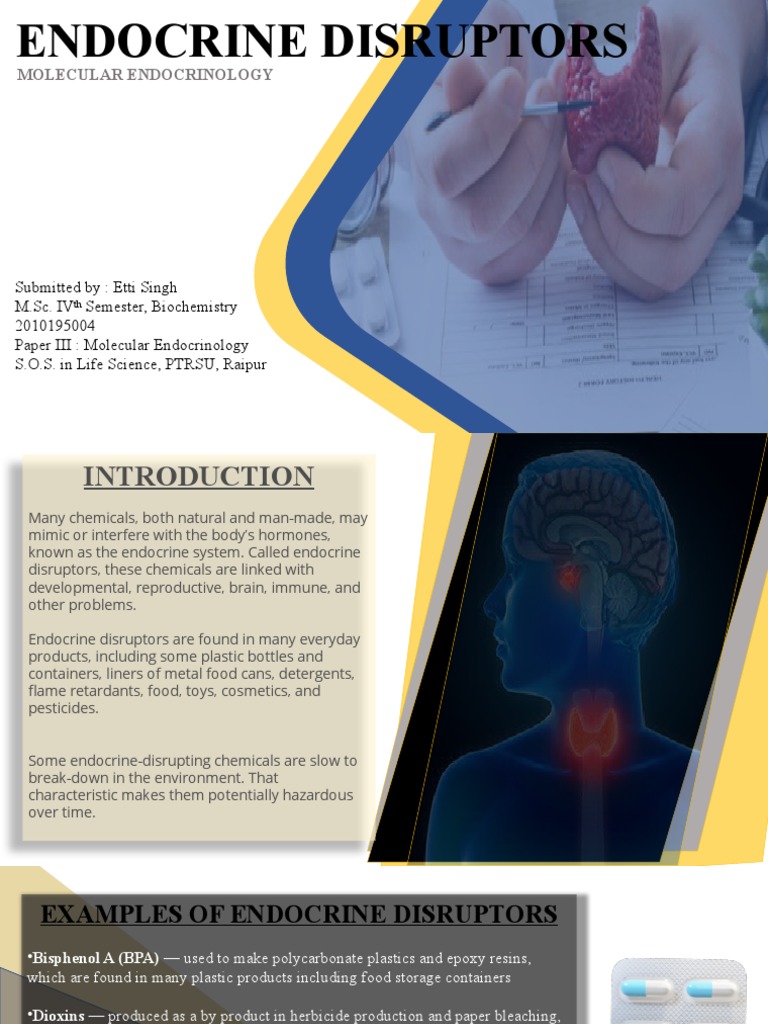 Endocrine Disruptors | PDF | Endocrine System | Chemistry