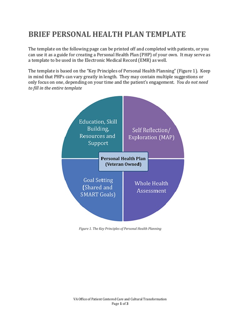Brief Personal Health Plan Template | PDF