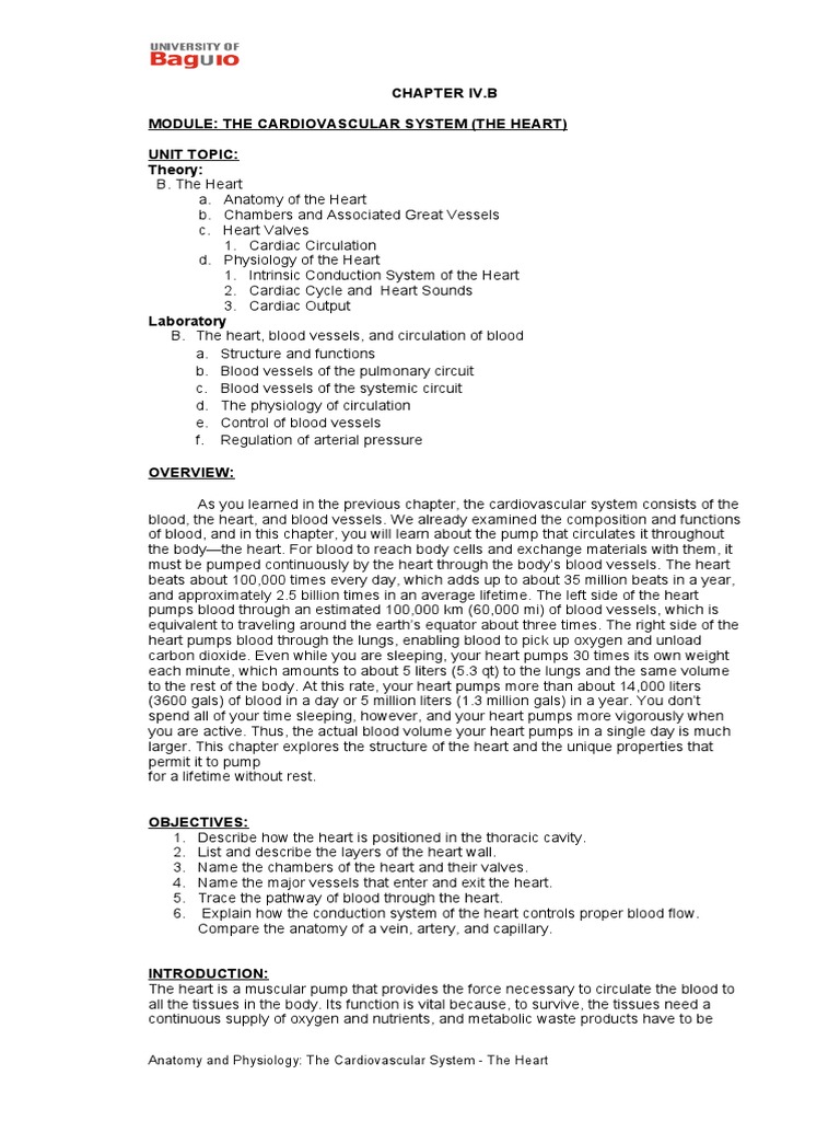 Chapter-Iv. B-Heart | PDF