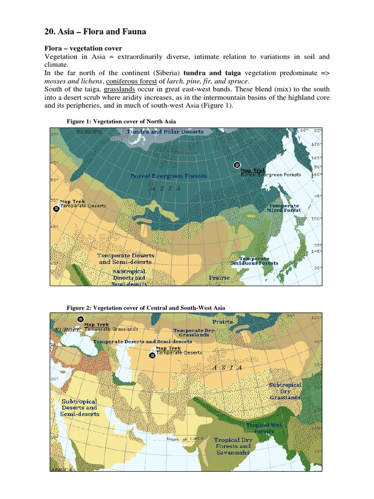 Asia Flora and Fauna | PDF