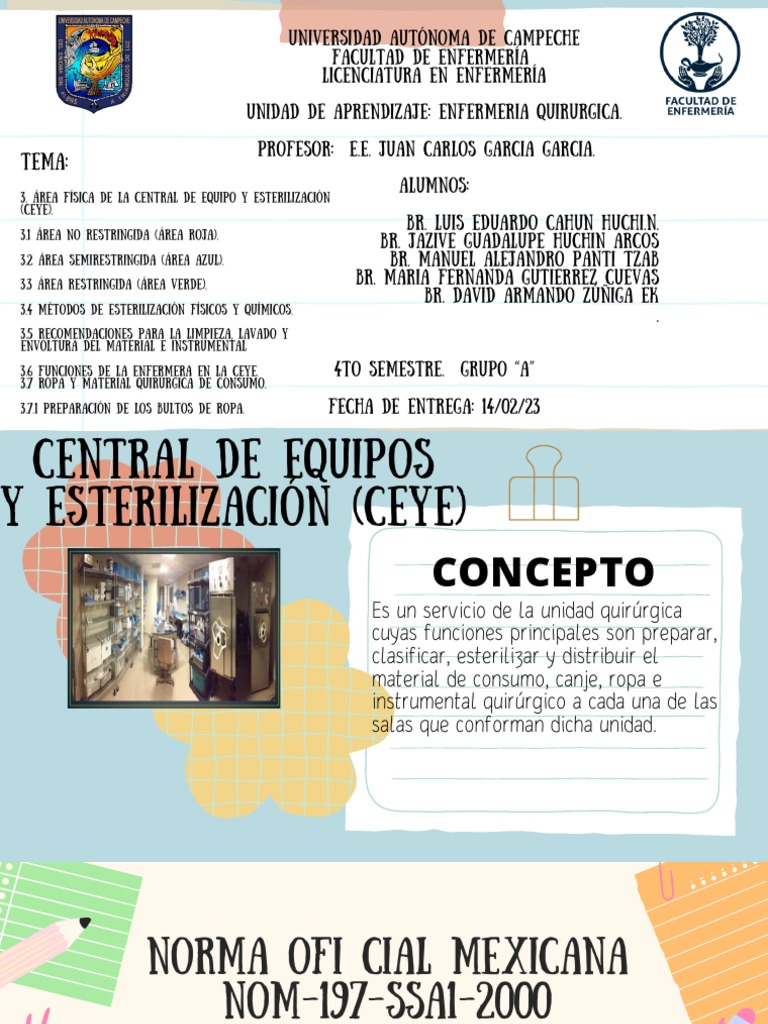 Área Física y Esterilización en CEYE | PDF