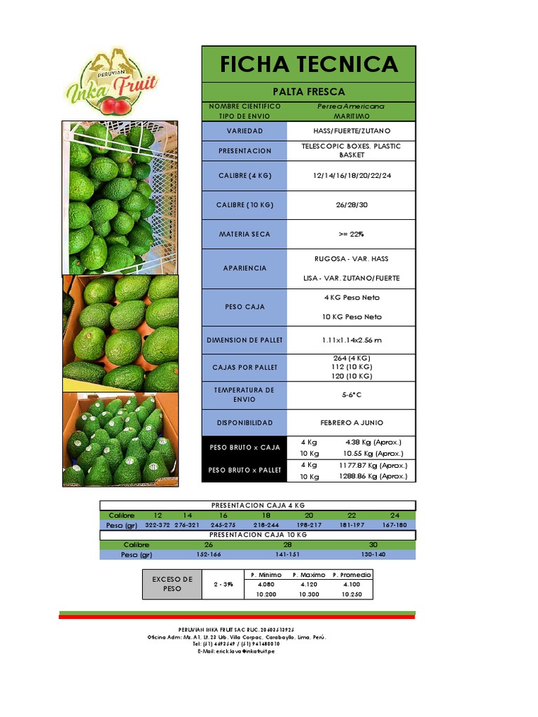 FICHA TECNICA - Palta-Fresca | PDF