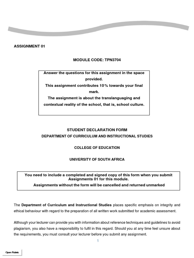 TPN3704 Assignment 1 | PDF