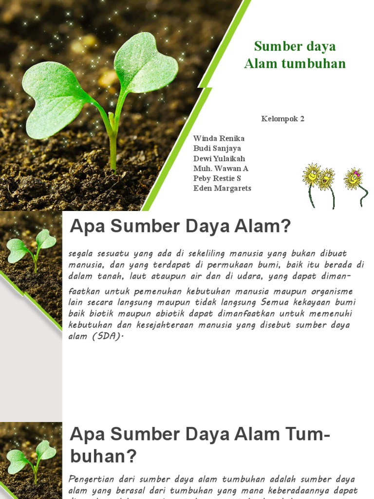 Sda Tumbuhan | PDF