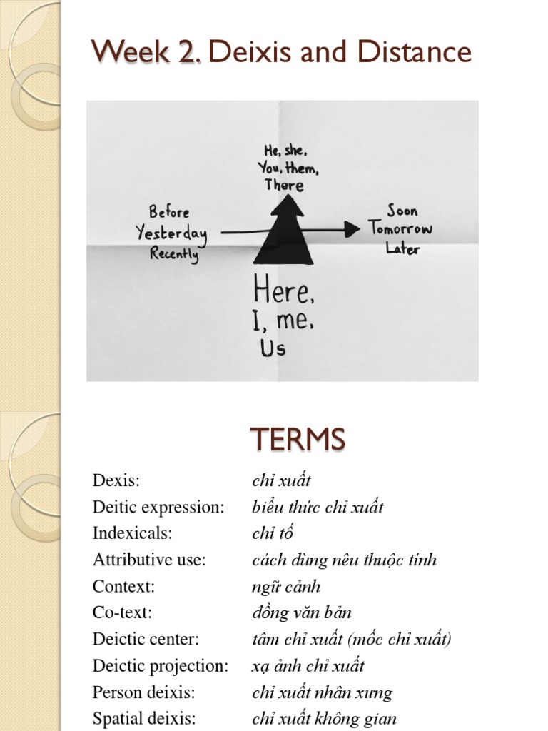 EL425 Week2 Slides | PDF | Syntax | Linguistic Typology