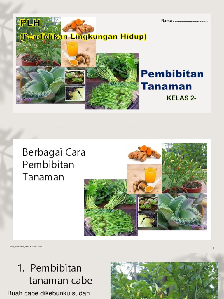 PLH - BAB 1 - Pembibitan Tanaman | PDF